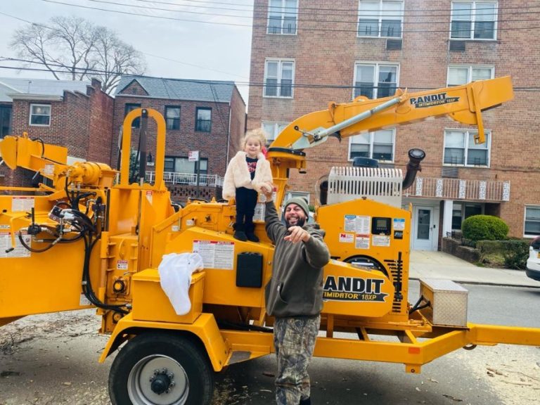 Brooklyn Tree Services, Removal, Pruning, and Maintenance